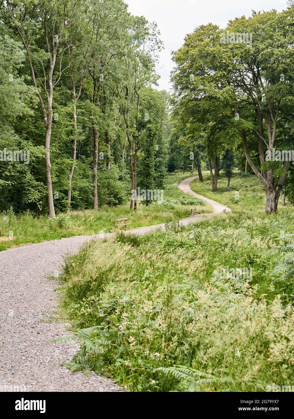Winding pathway meandering hi-res stock photography and images - Alamy