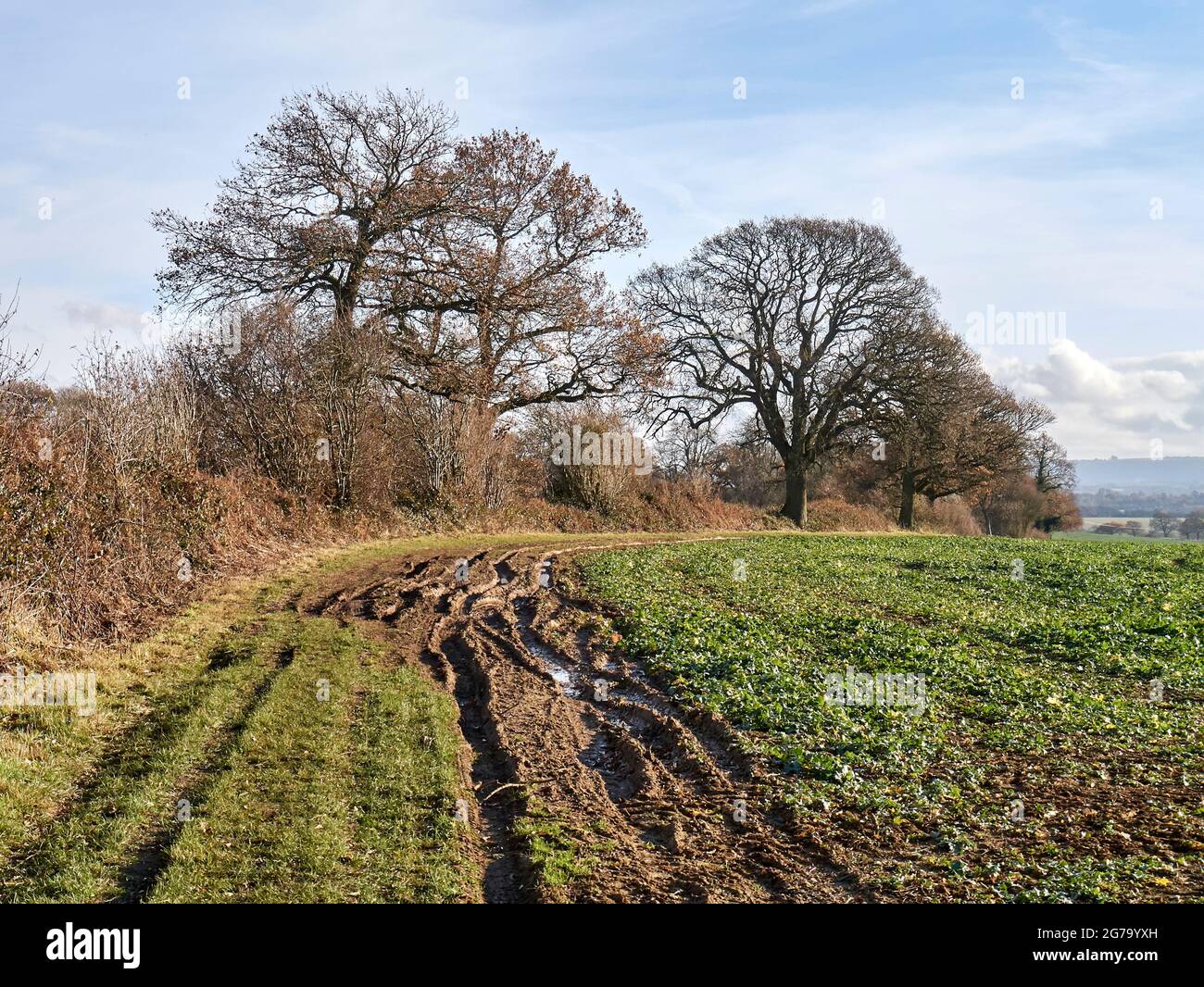 Rural view of British agricultural landscape Stock Photo - Alamy
