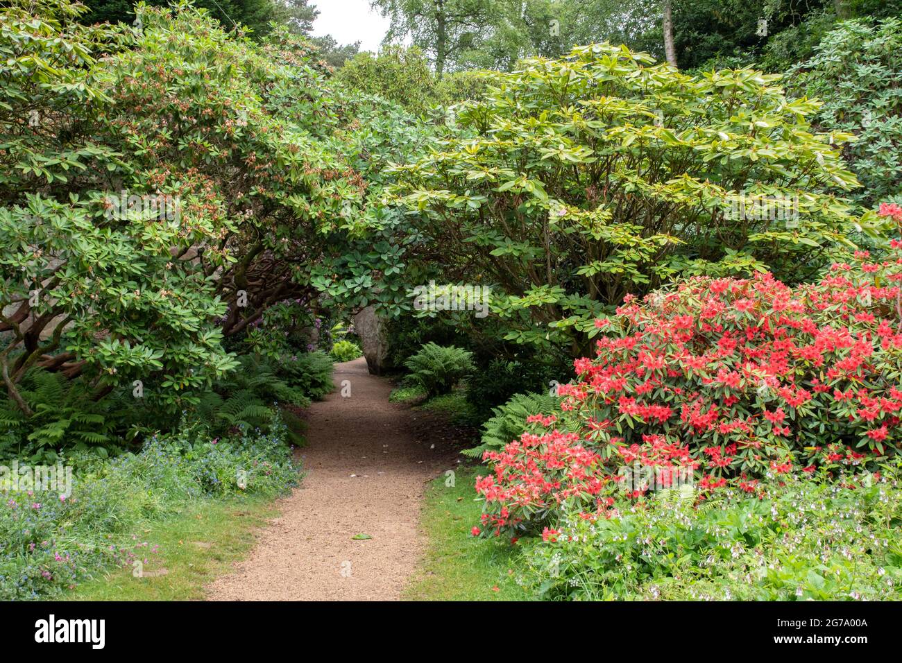 Belsay Hall Quarry Garden Stock Photo - Alamy