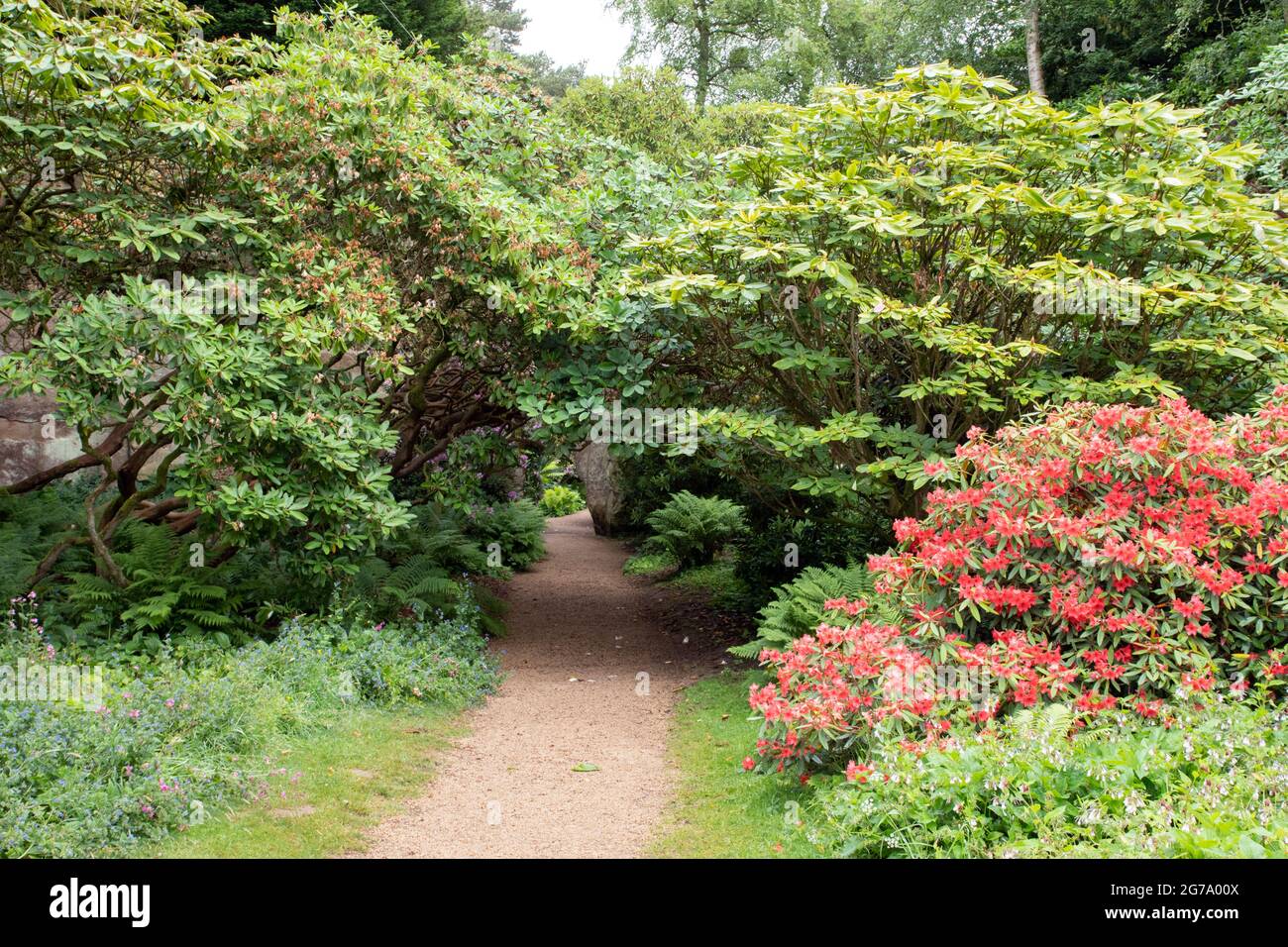 Belsay Hall Quarry Garden Stock Photo - Alamy