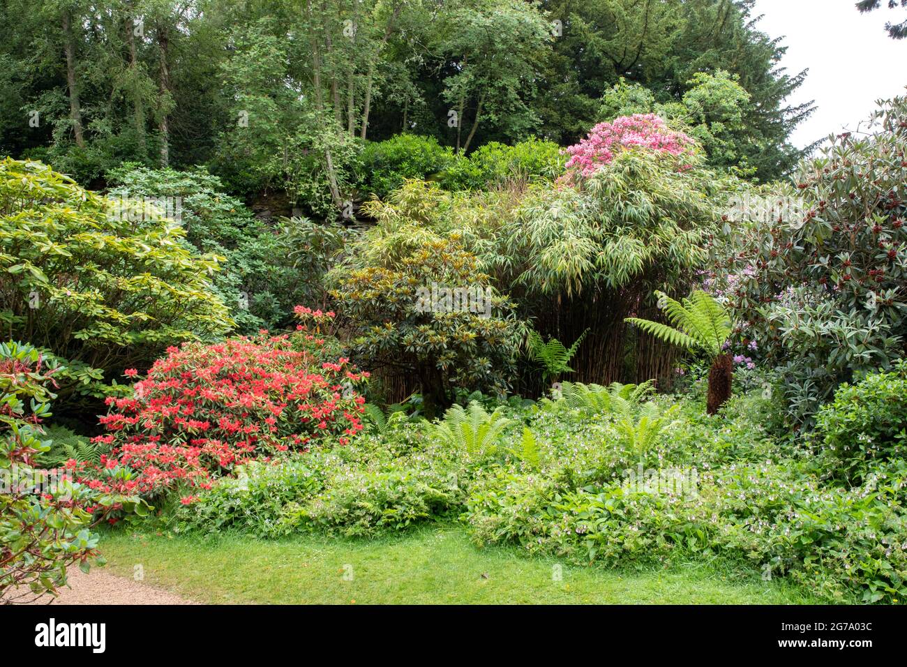 Belsay quarry garden hi-res stock photography and images - Alamy