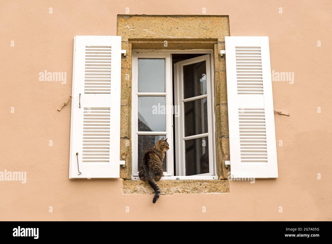 Cat sitting outside on a window ledge, Brittany, France Stock Photo - Alamy