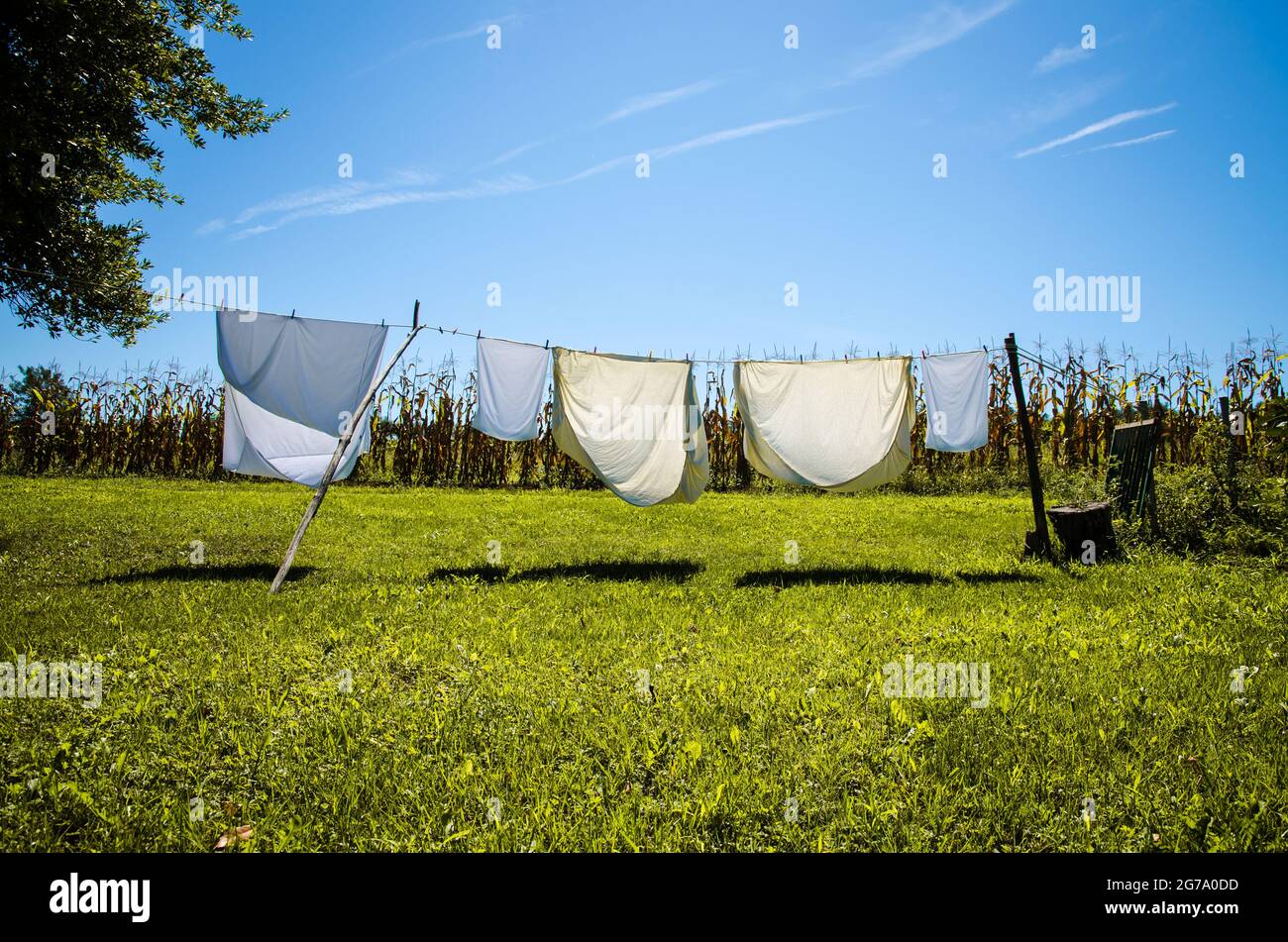 white drying clothes in washing line outdoor Stock Photo - Alamy