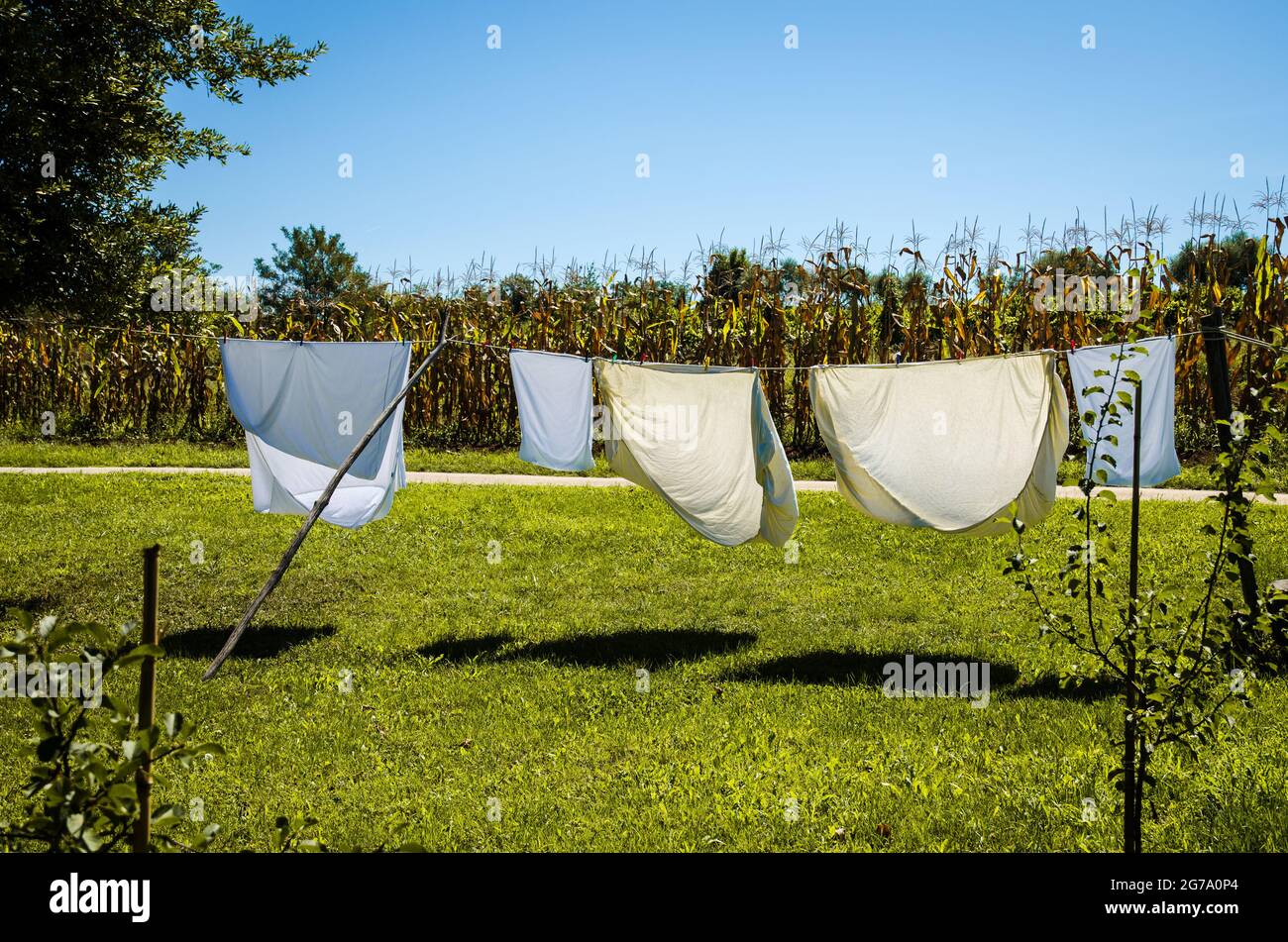 white drying clothes in washing line in the breeze Stock Photo - Alamy