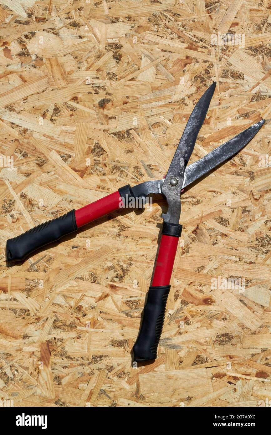Vertical shot grass shears on plywood desk background Stock Photo - Alamy