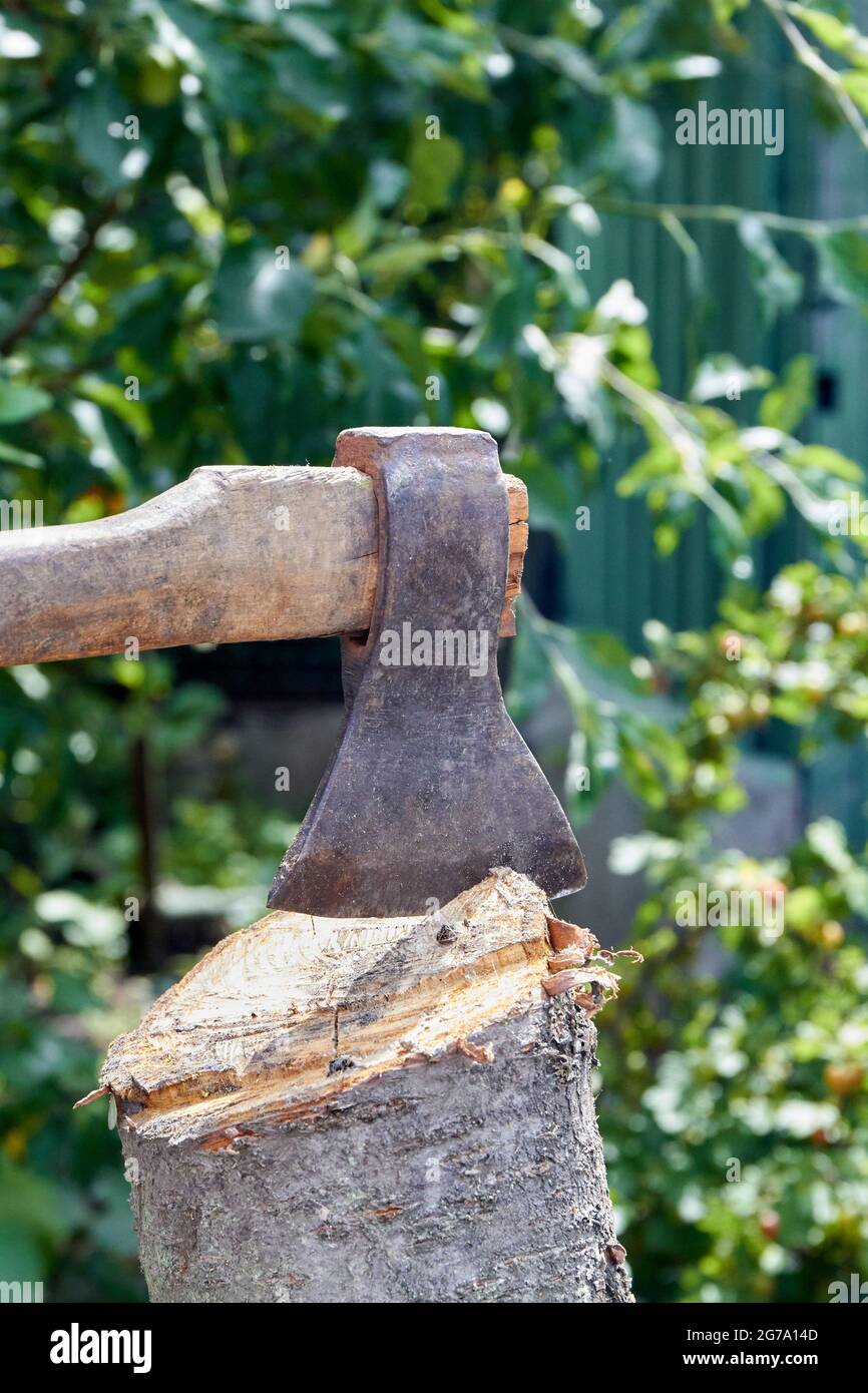Ax in a log on the background of green grass Stock Photo - Alamy