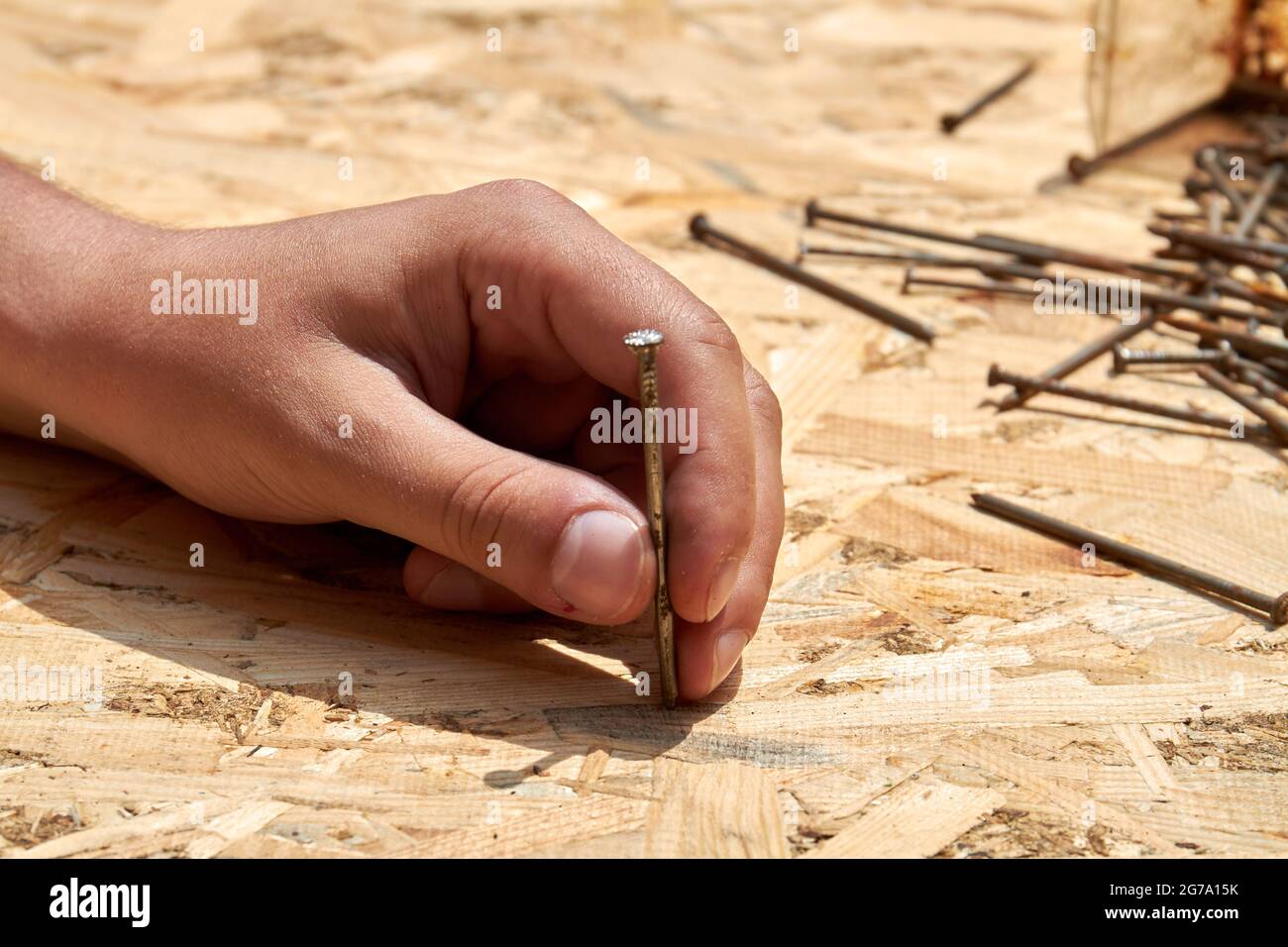 Young hand holding the nail to hammer it into plywood surface Stock ...
