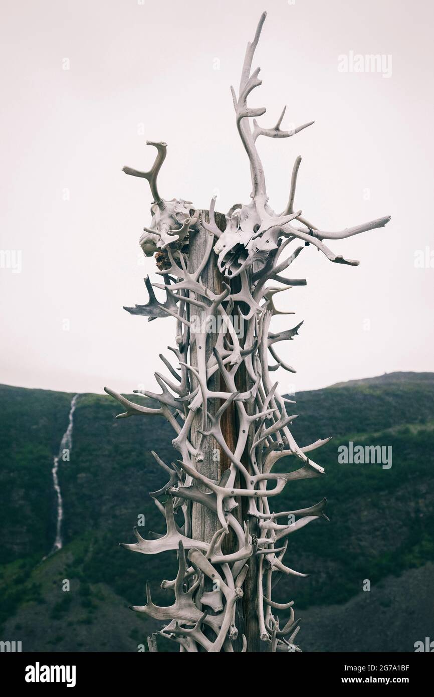 Sculpture made of antlers hi-res stock photography and images - Alamy