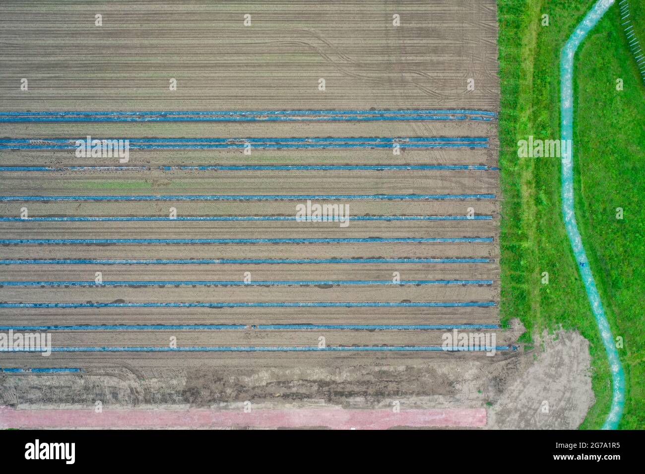 Asparagus fields from the air Stock Photo - Alamy