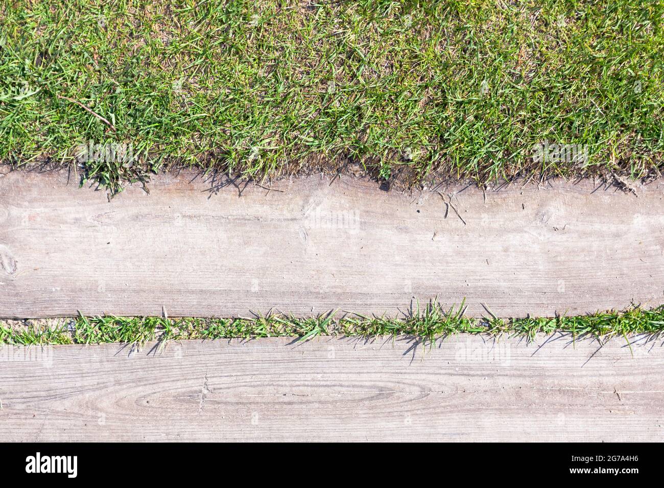 wooden boards on green grass, use as background or texture, place under ...