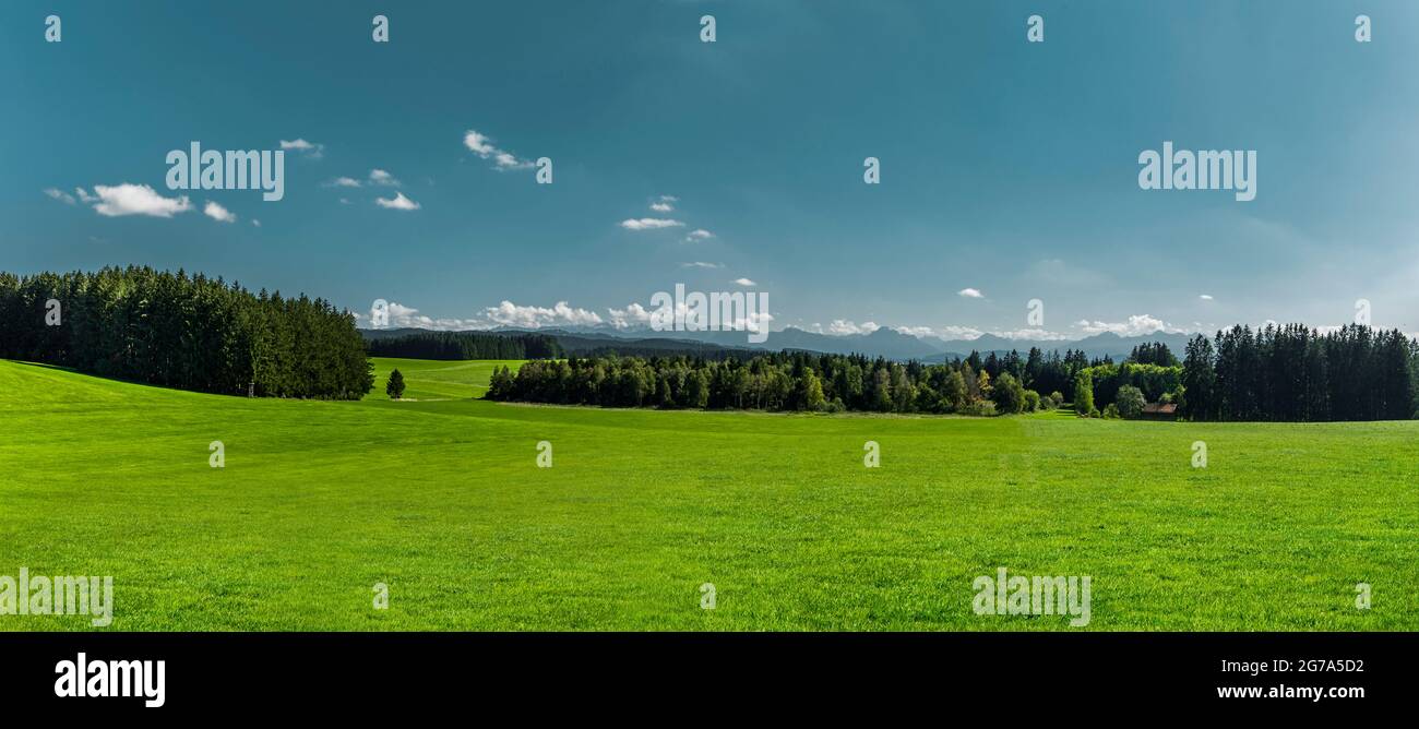 Green meadow and forest hi-res stock photography and images - Alamy