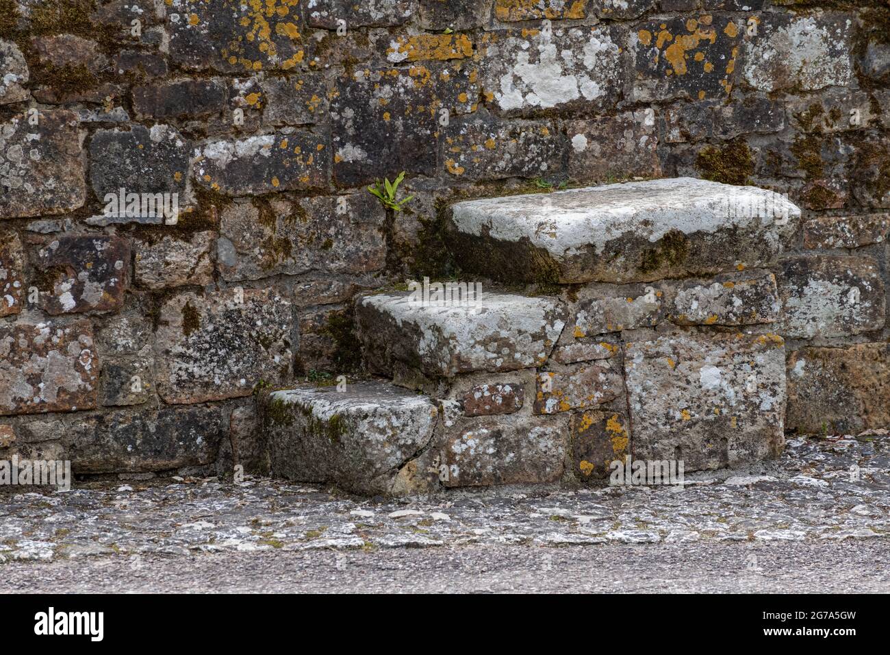 old weathered horse riding mounting block set against an an wall in a n ...