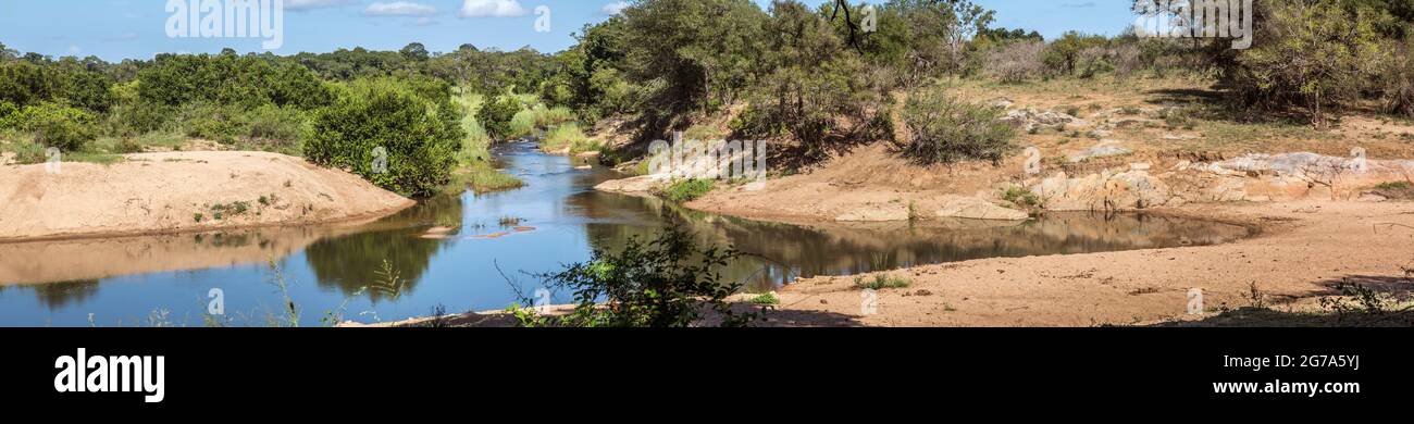 Panoramic of Sabie river in Kruger National park, South Africa Stock ...