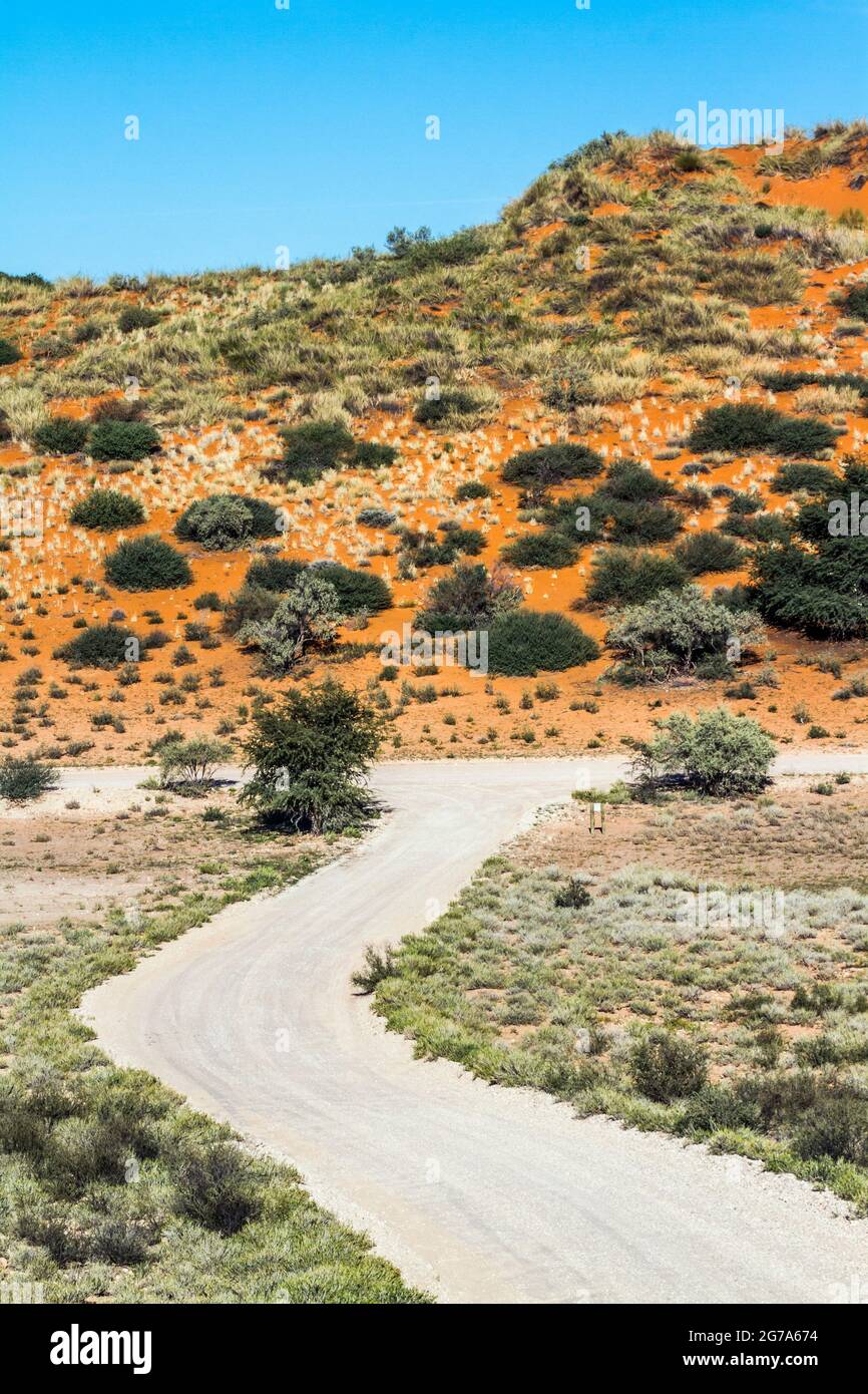Kgalagadi landscape hi-res stock photography and images - Alamy