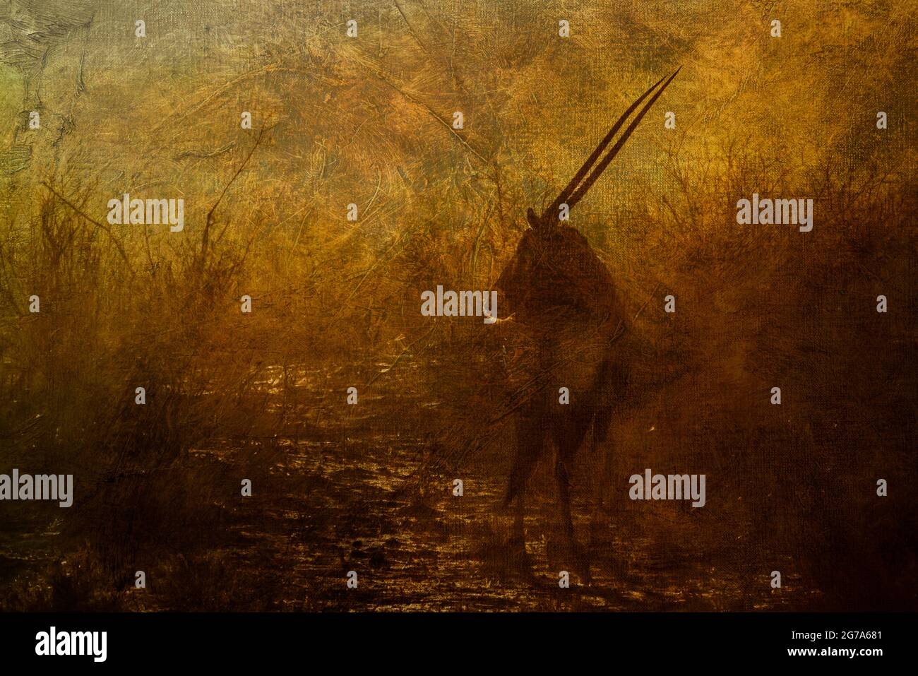 South African Oryx with tracing multiple images of oil painting ...