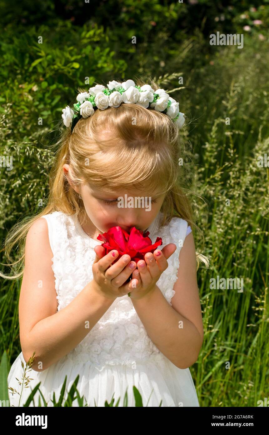 Cute Babies In Red Roses