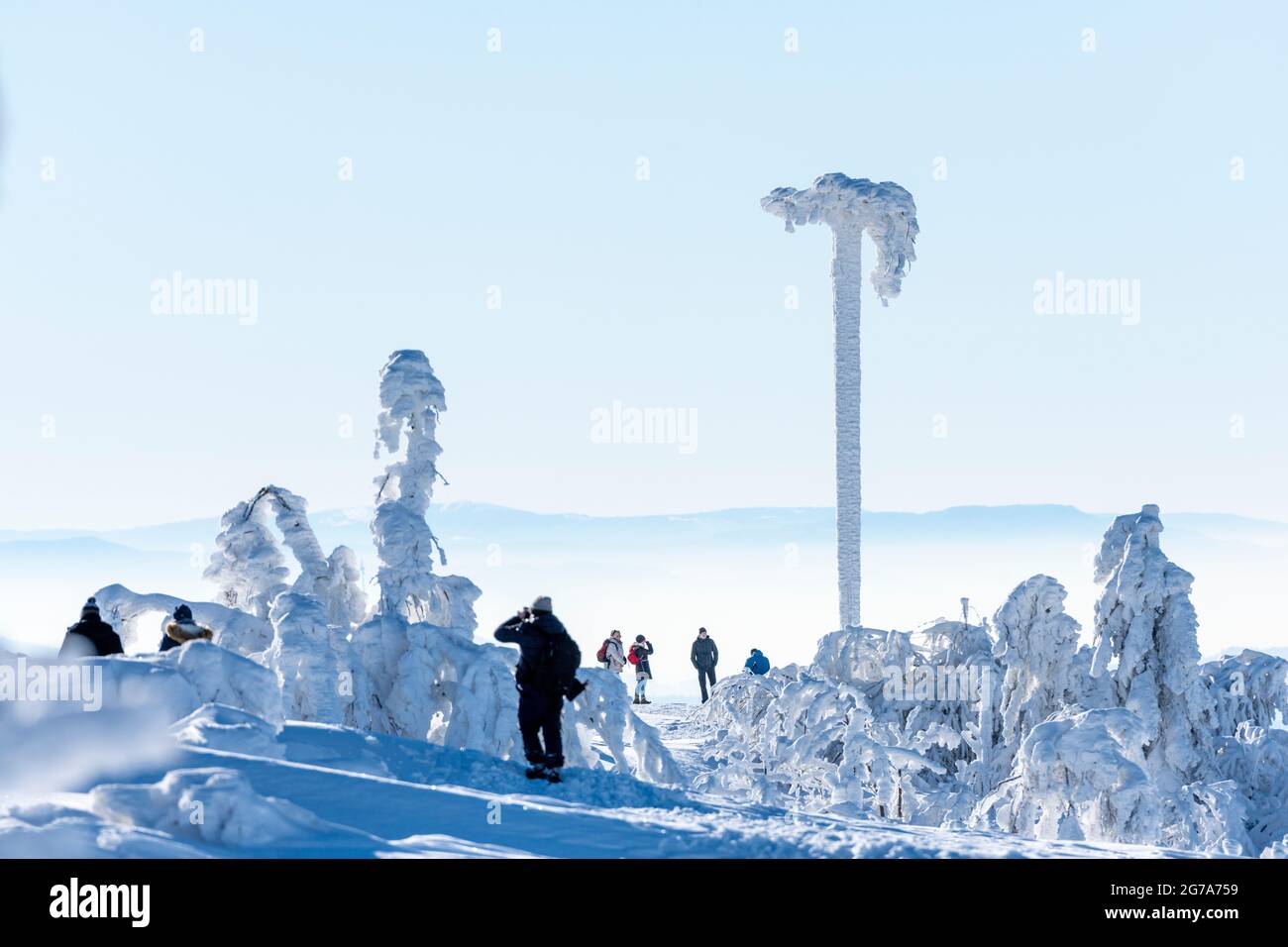 Enchanted forest and damp hi-res stock photography and images - Alamy