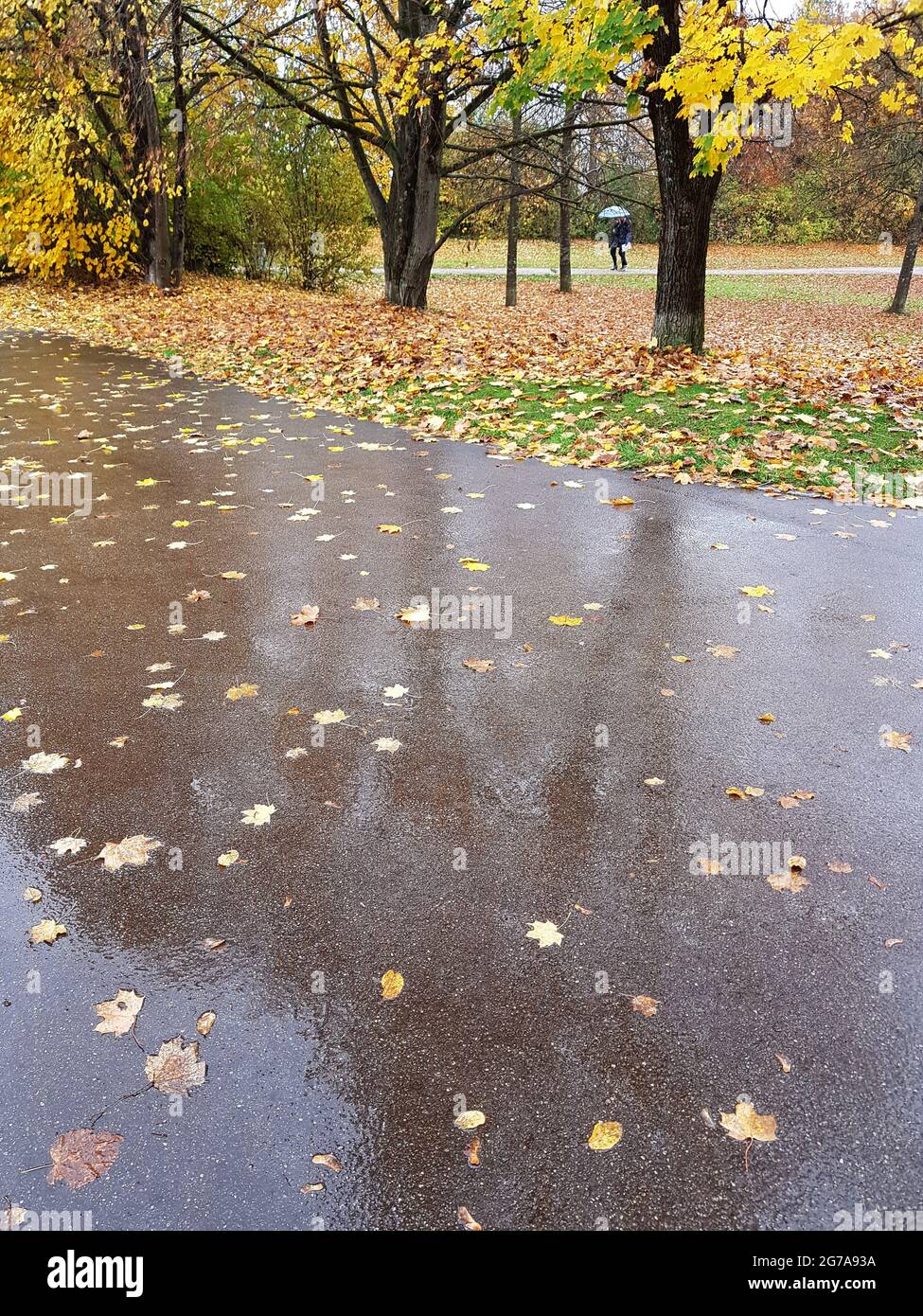 Rainy seasons hi-res stock photography and images - Alamy