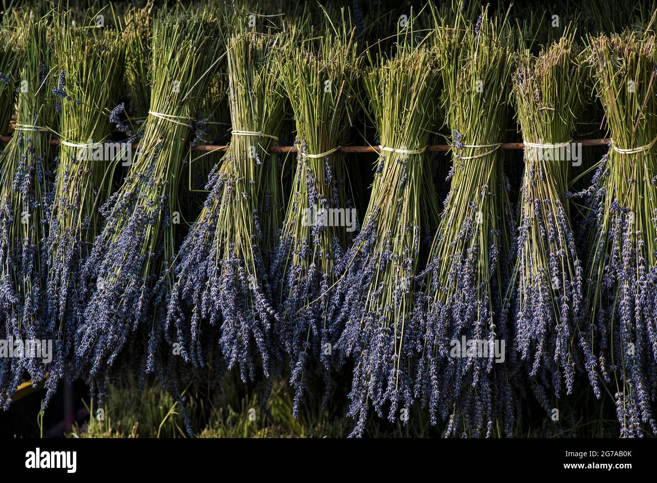 Hang rack hi-res stock photography and images - Alamy