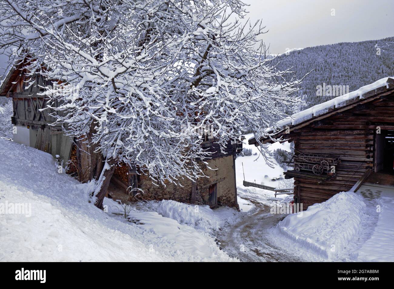 Alpine farms in valley hi-res stock photography and images - Alamy