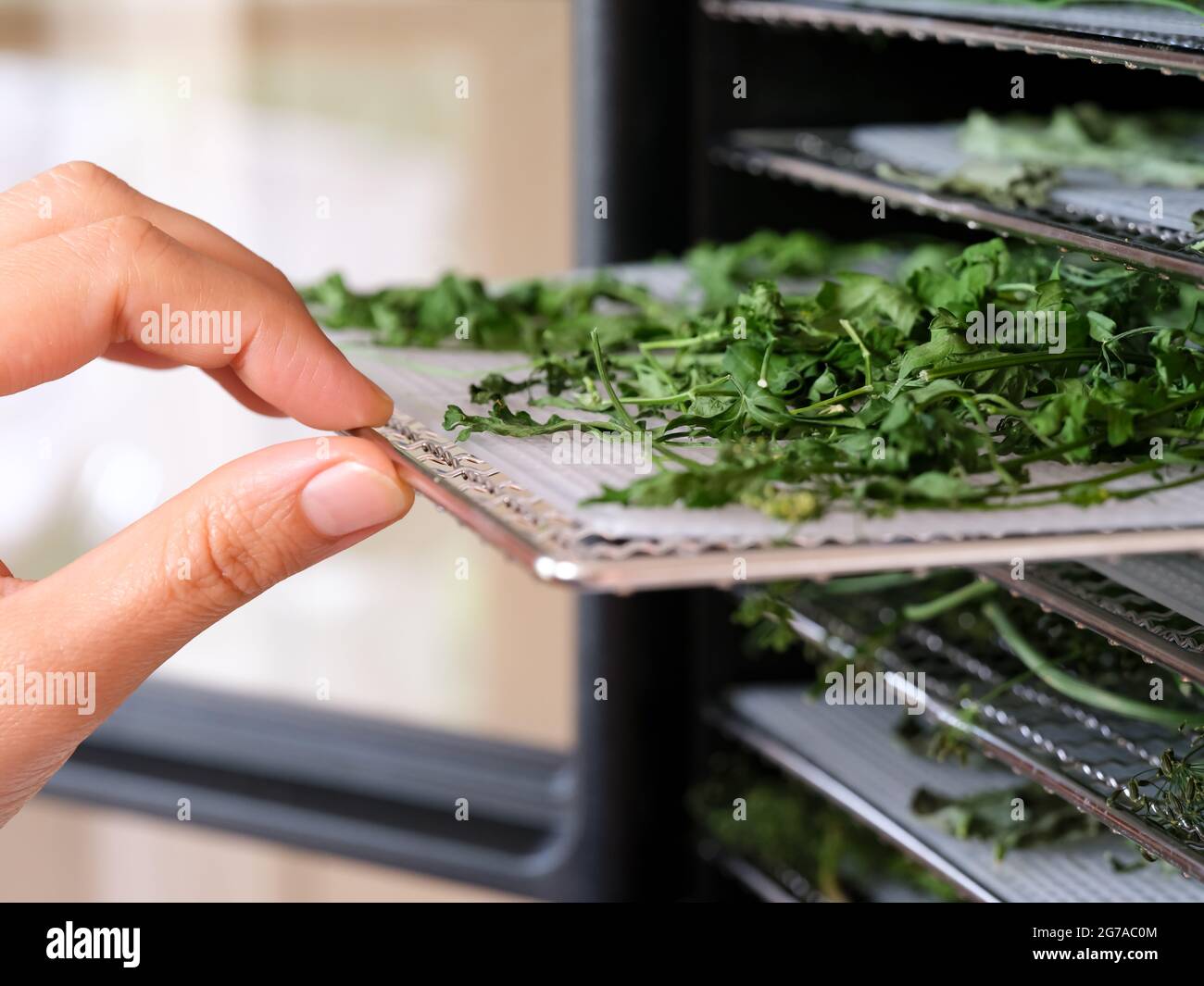 Close up hand pulling out hi-res stock photography and images - Alamy