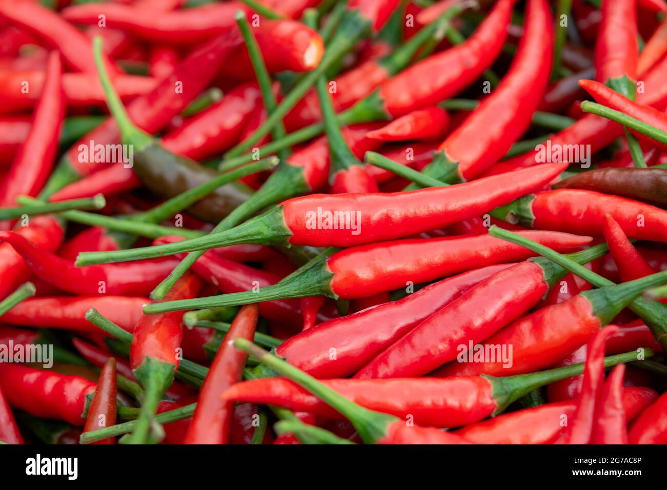 Fresh red chili pepper background Stock Photo - Alamy