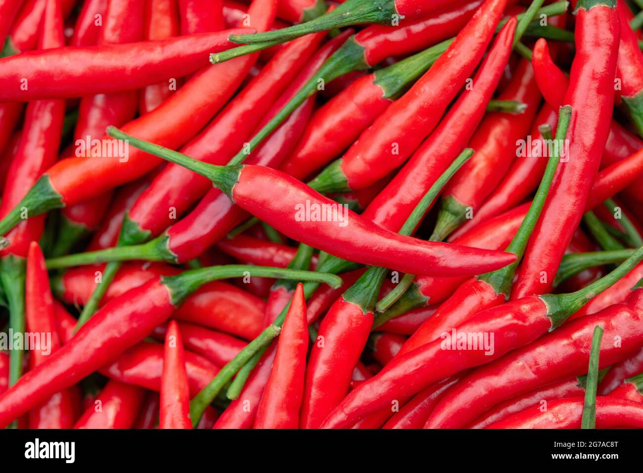 Fresh red chili pepper background Stock Photo - Alamy