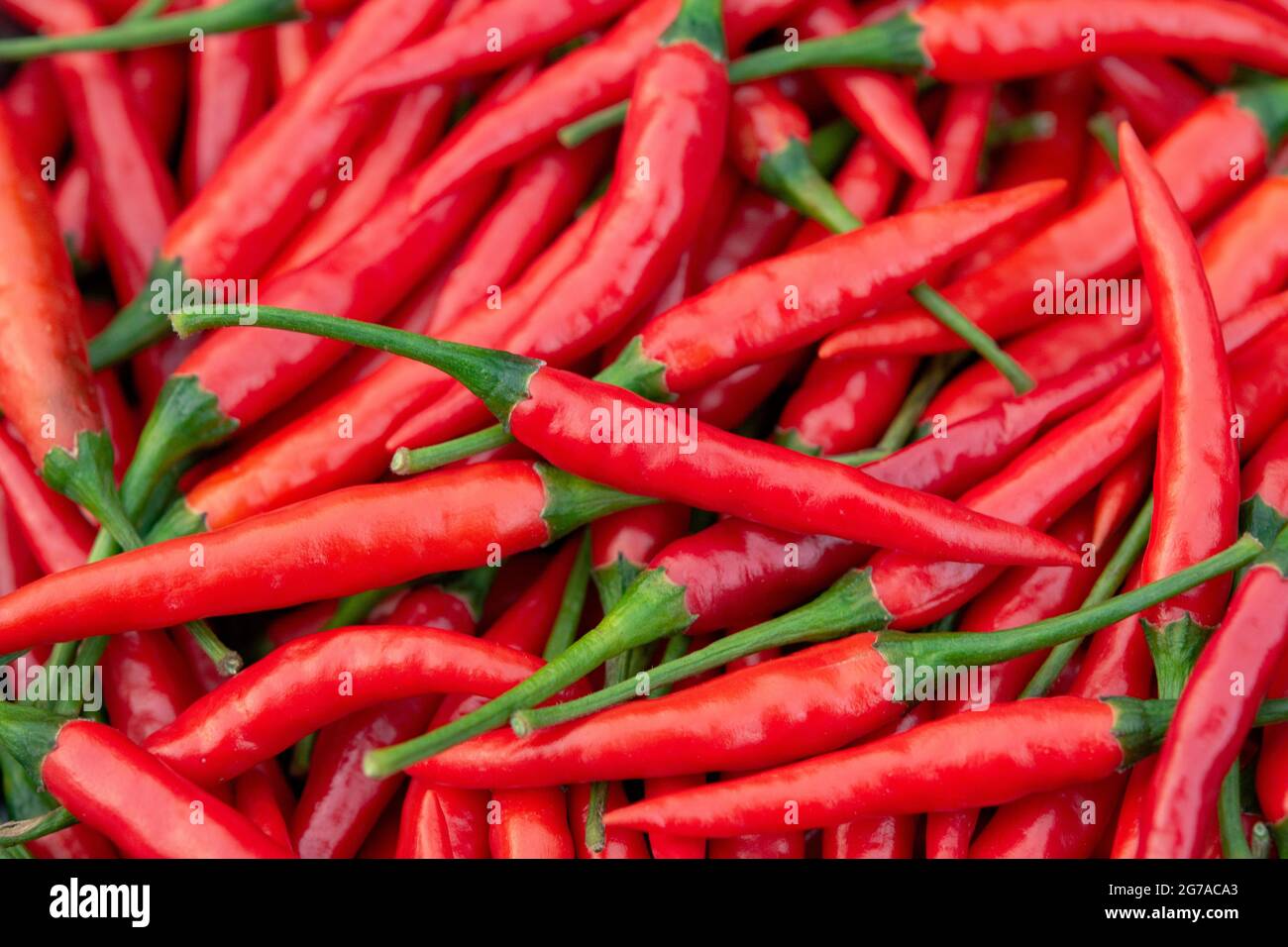 Fresh red chili pepper background Stock Photo - Alamy