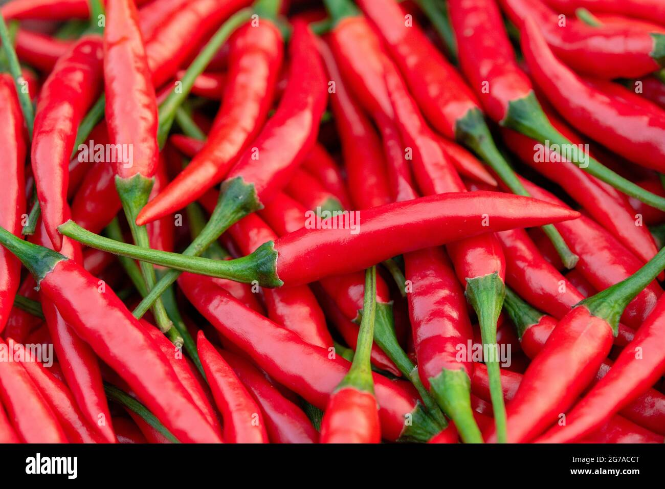 Fresh red chili pepper background Stock Photo - Alamy