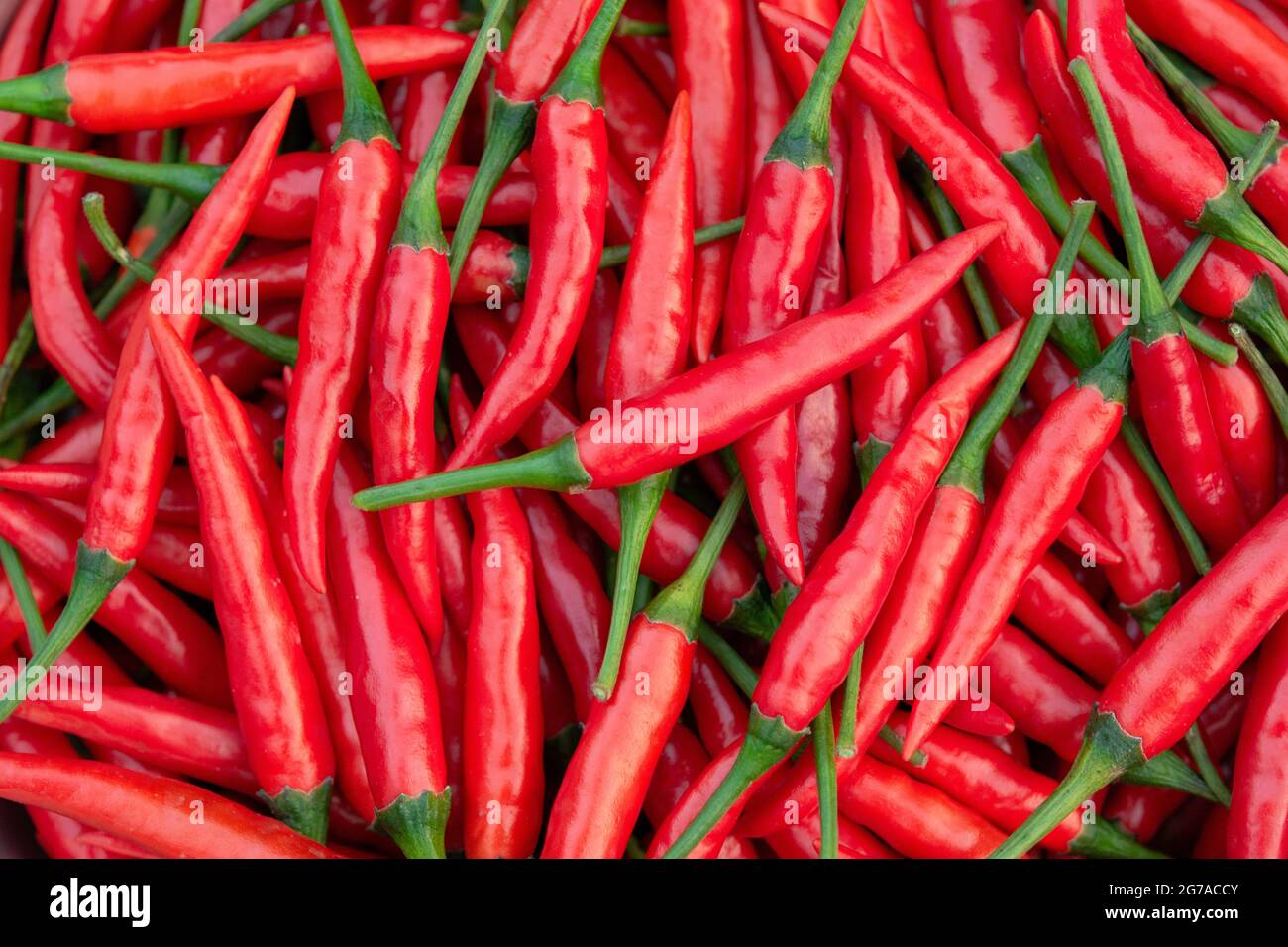 Fresh red chili pepper background Stock Photo - Alamy