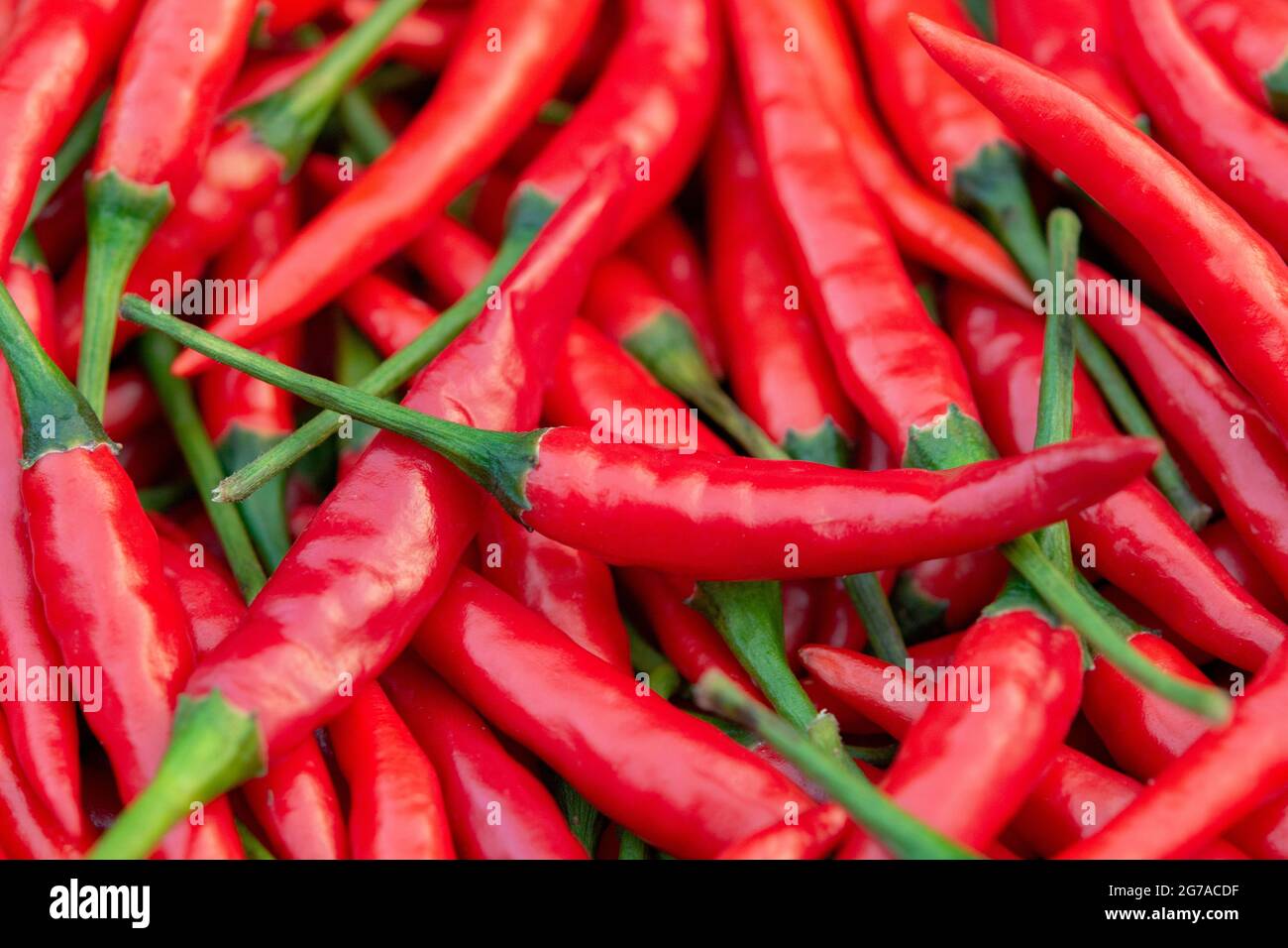 Fresh red chili pepper background Stock Photo - Alamy