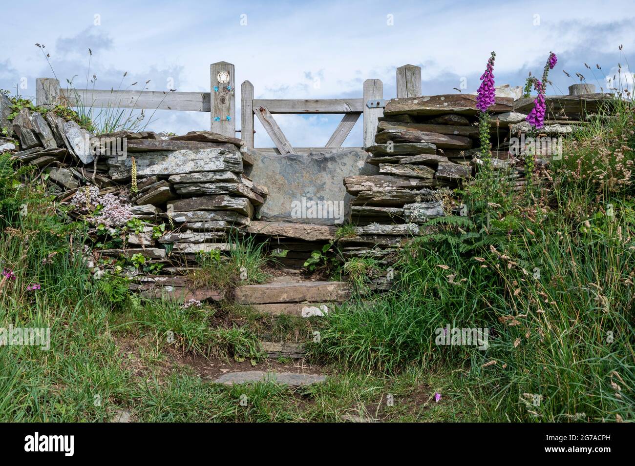 Cornish hedge dry stone wall hi-res stock photography and images - Alamy