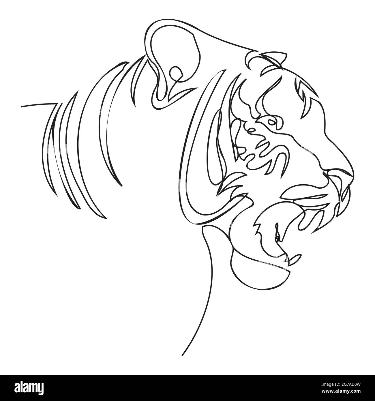 Abstract Tiger Line Drawing