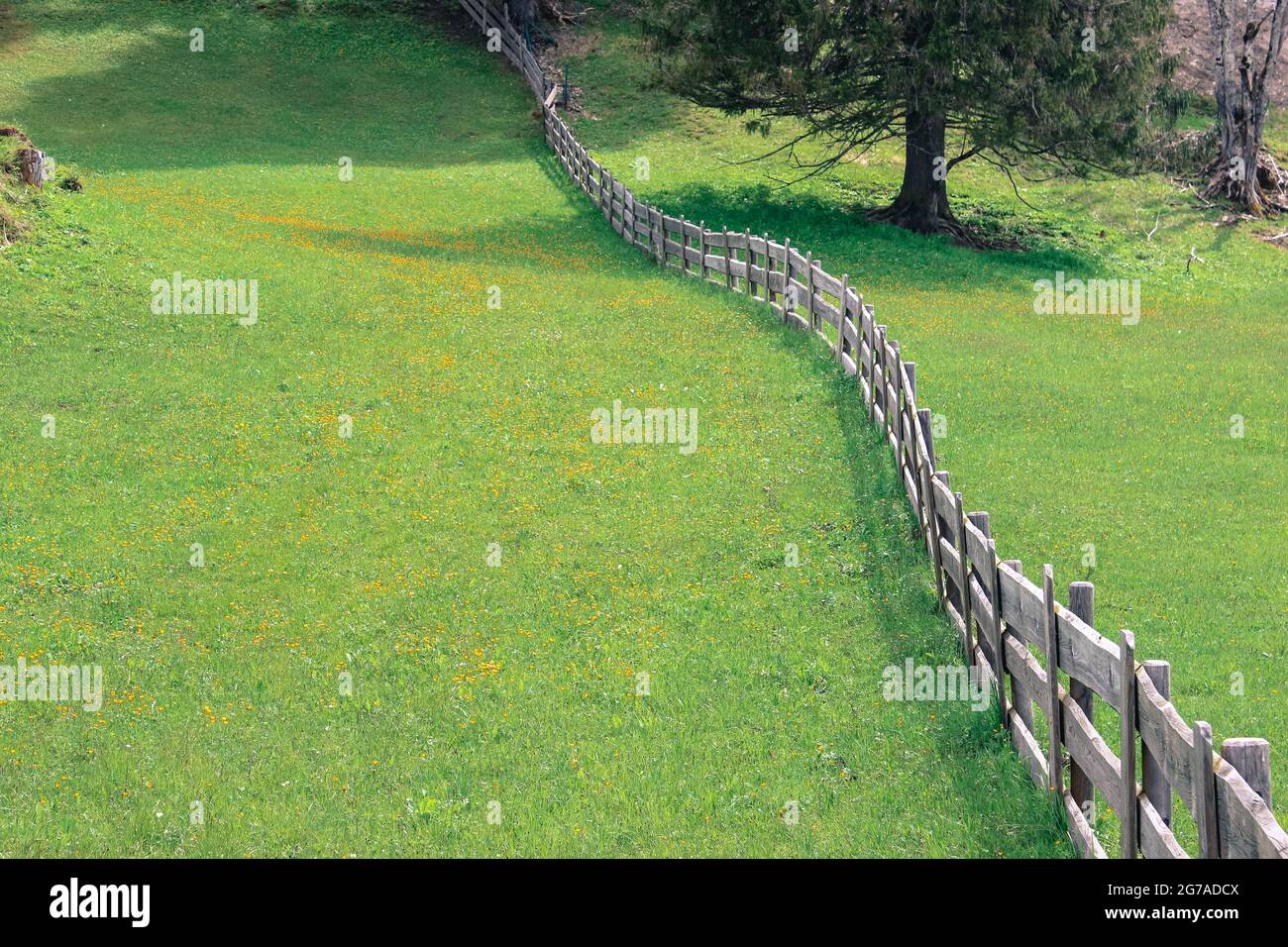 Meadow with fence and tree Stock Photo - Alamy