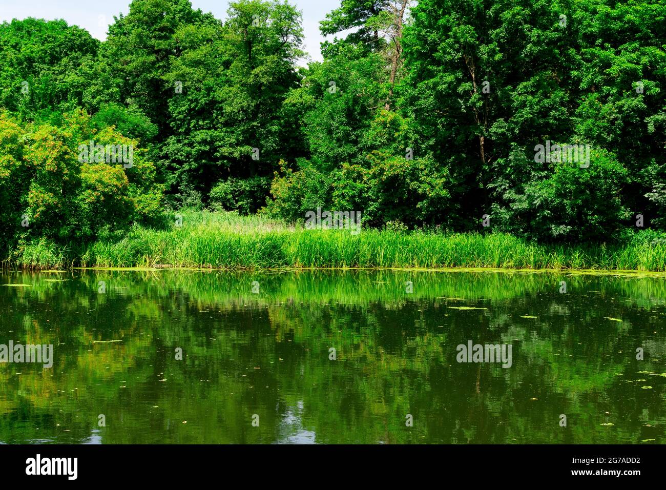 Yampol hi-res stock photography and images - Alamy