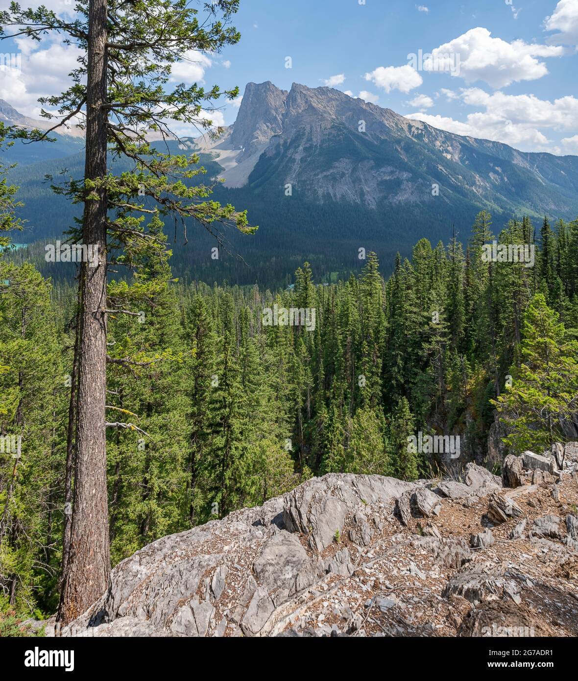 Mount burgess in yoho hi-res stock photography and images - Alamy