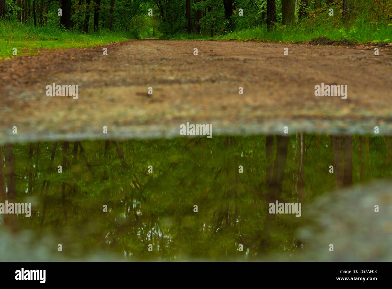 Reflections in puddle of water hi-res stock photography and images - Alamy