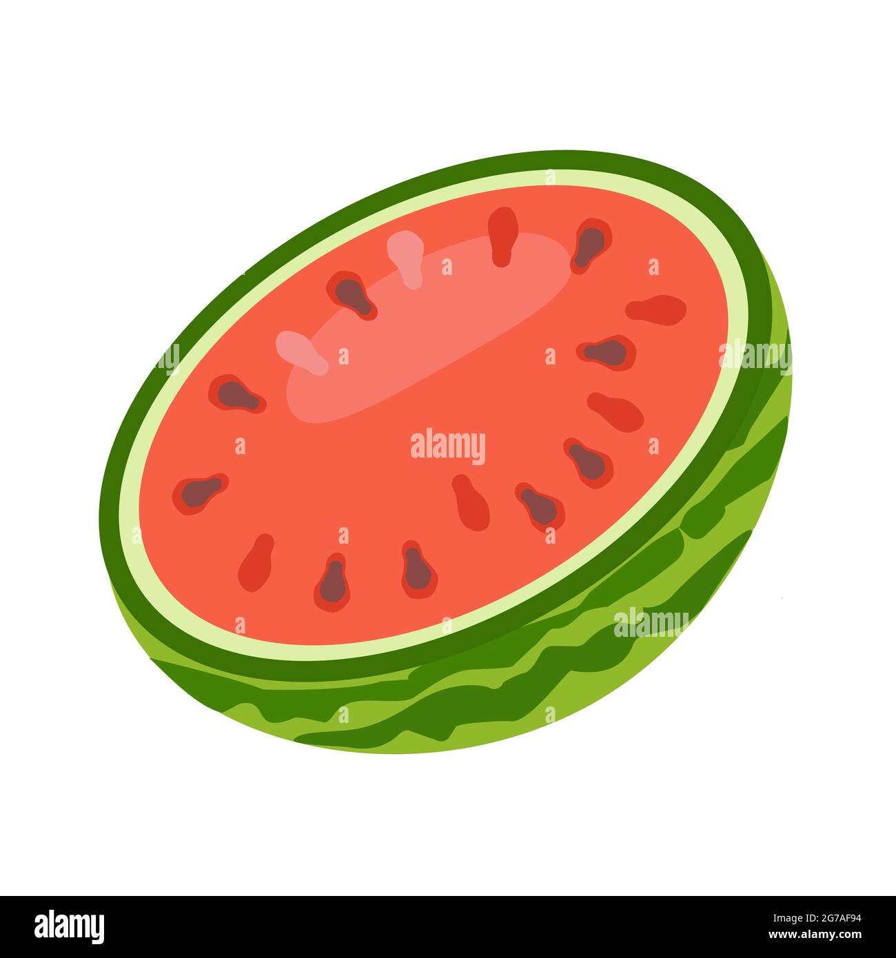 Ripe watermelon berry. Half a watermelon. Vector illustration. Isolated ...