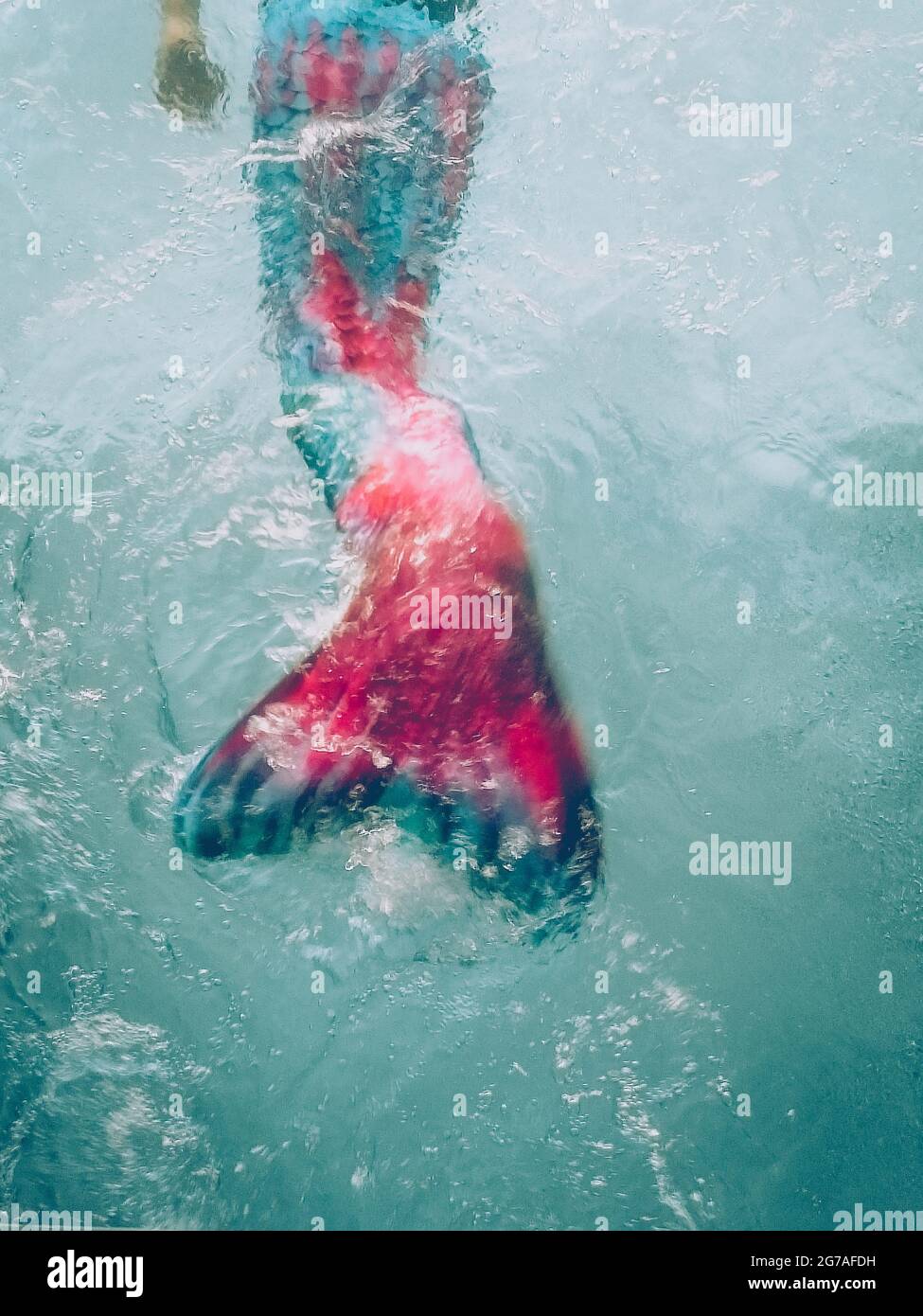 Swimmingpool swimming hi-res stock photography and images - Alamy