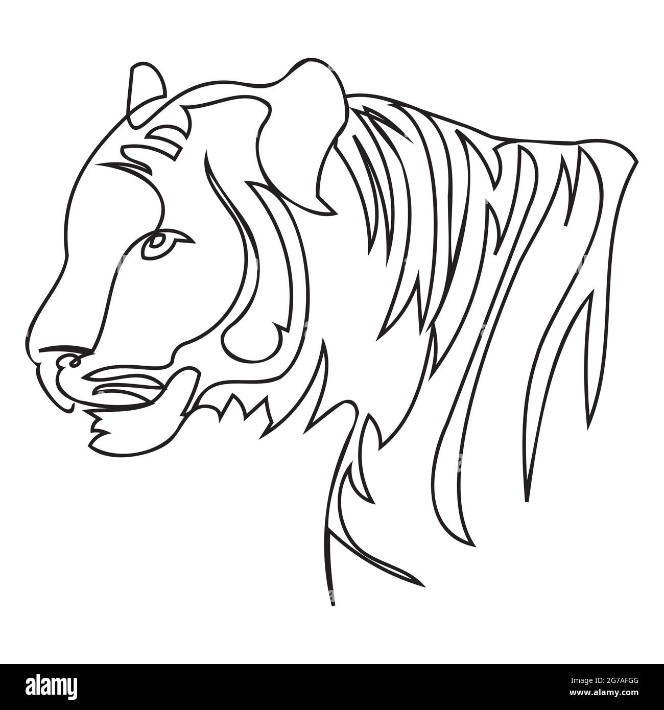 Abstract Tiger Line Drawing