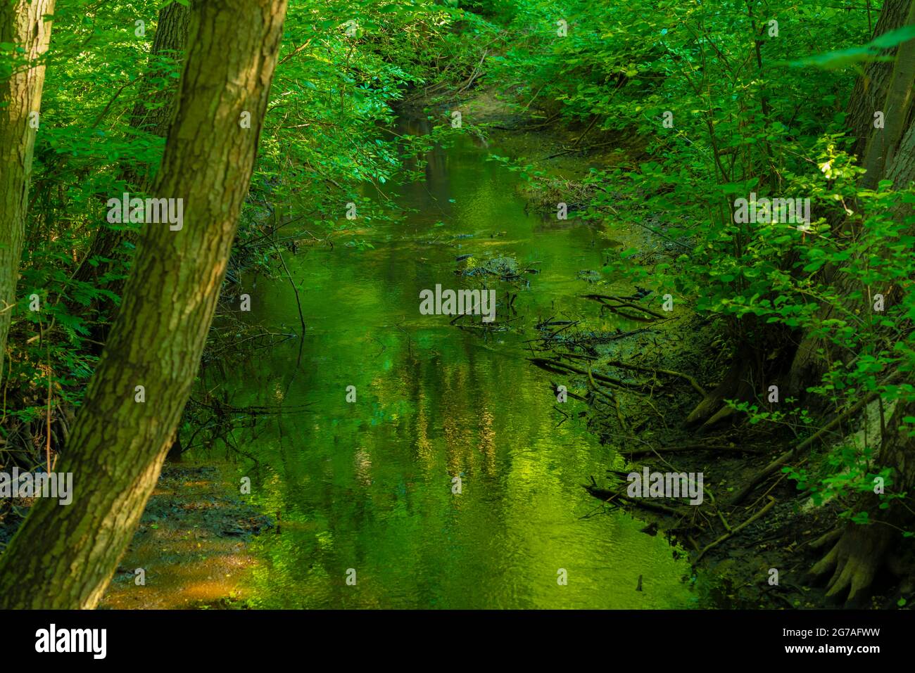 Narrow river hi-res stock photography and images - Alamy