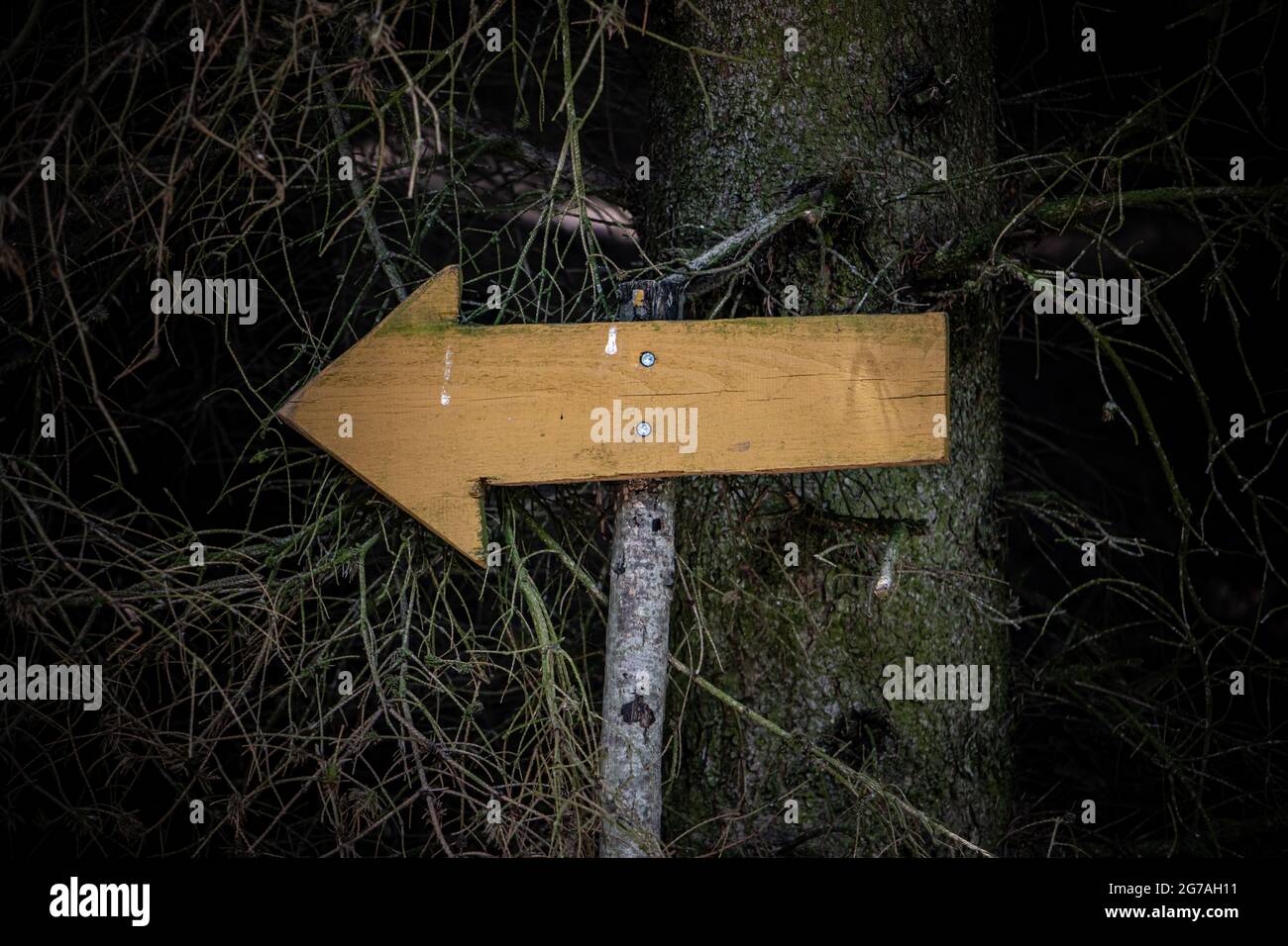Wood stick arrow hi-res stock photography and images - Alamy