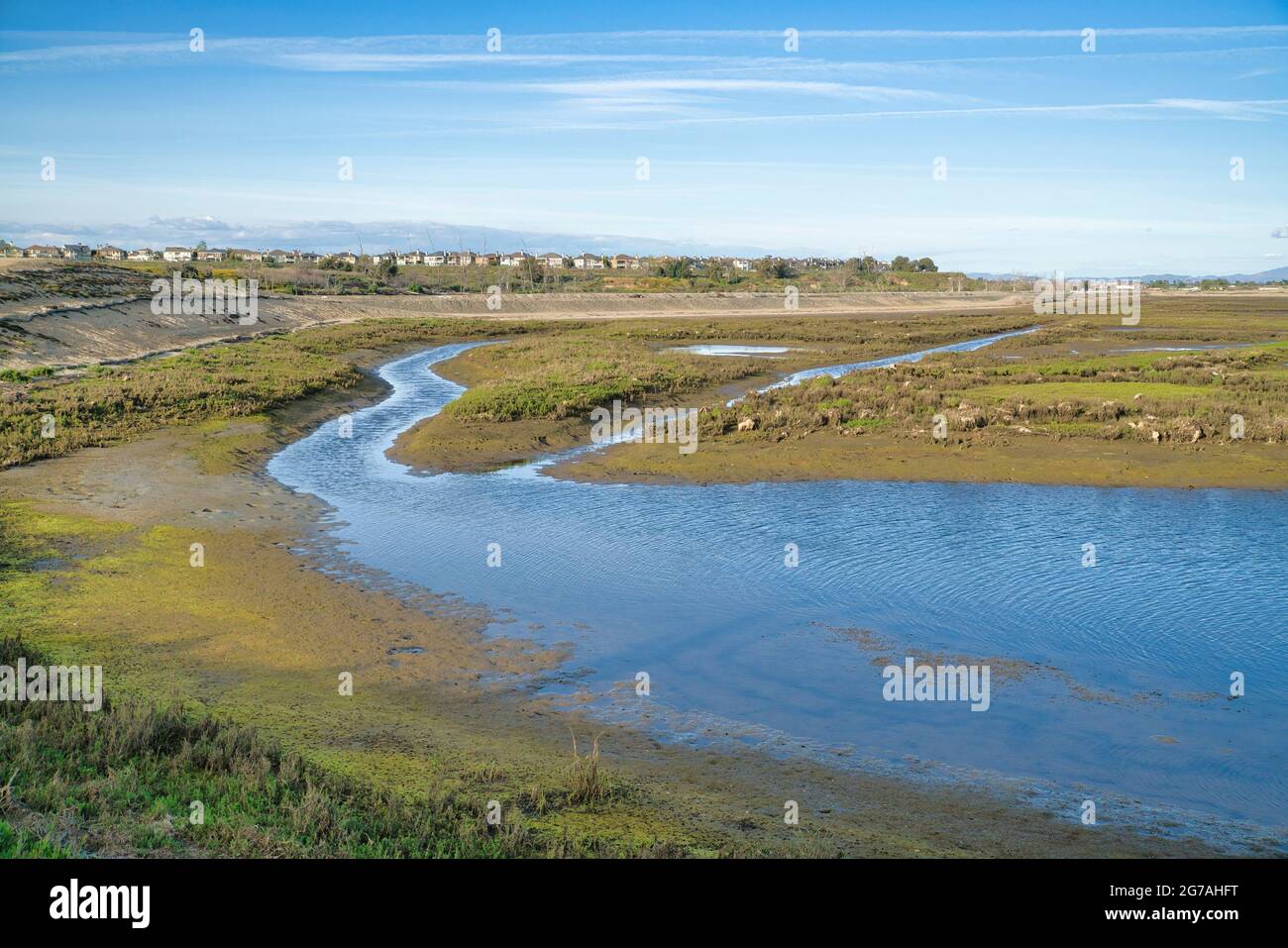 Shallow water and grassy wetland landscape in Bolsa Chica Ecological ...
