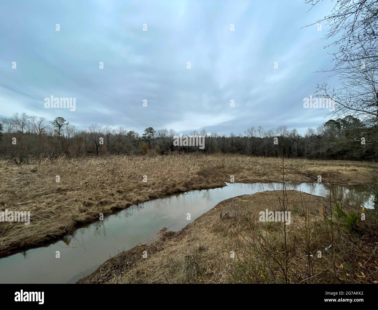 A winding river in a marshland area with horizon and clouds in a forest ...