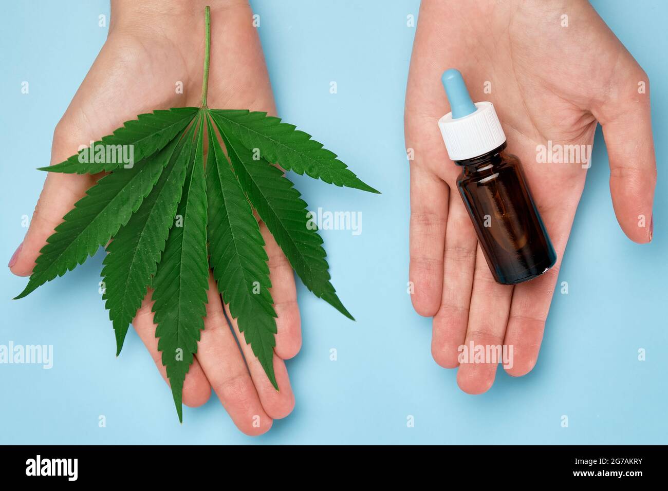 Marijuana leaf hand woman hi-res stock photography and images - Alamy
