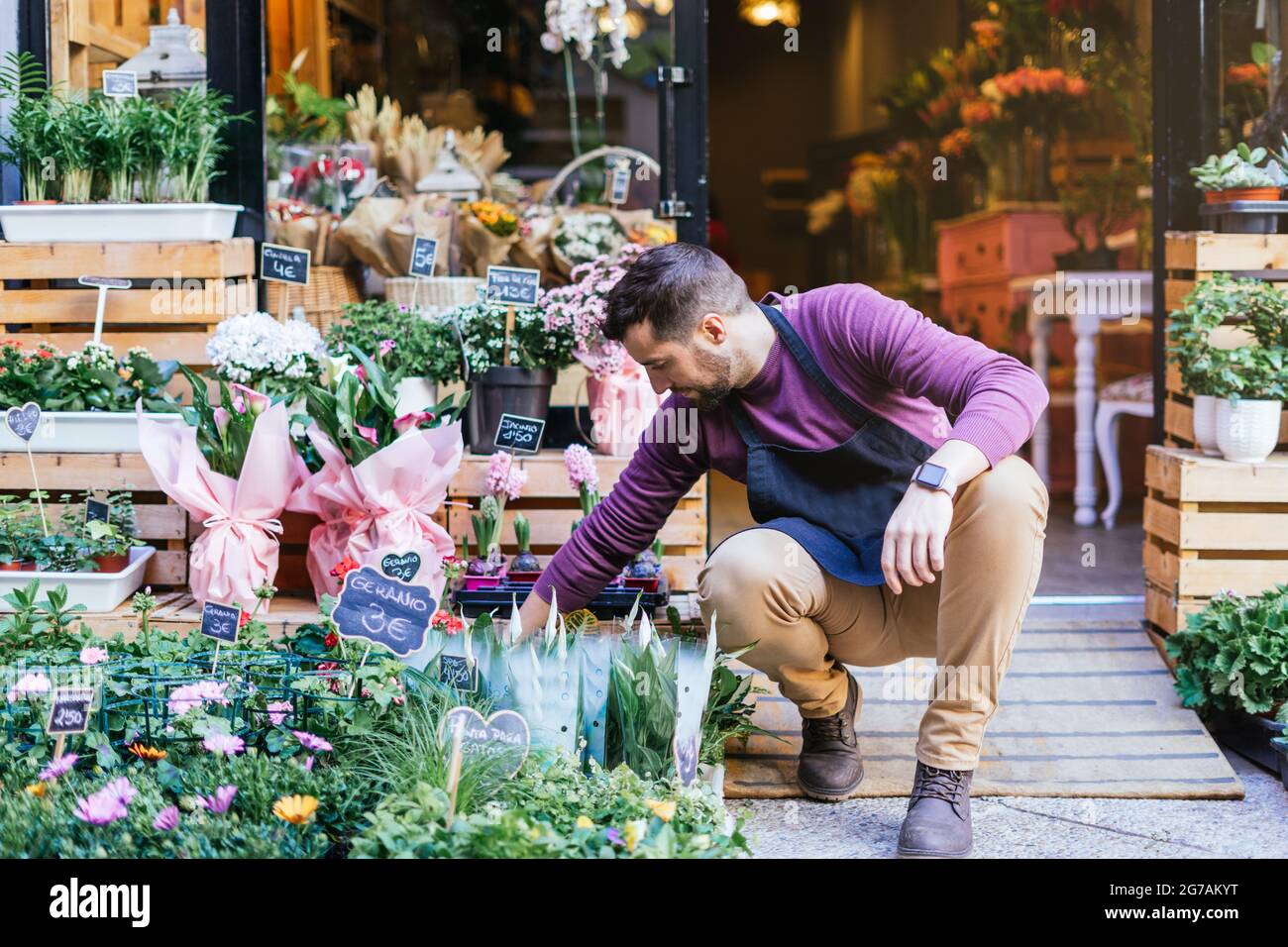 Flower store owner squatting down putting up the plants in the window ...