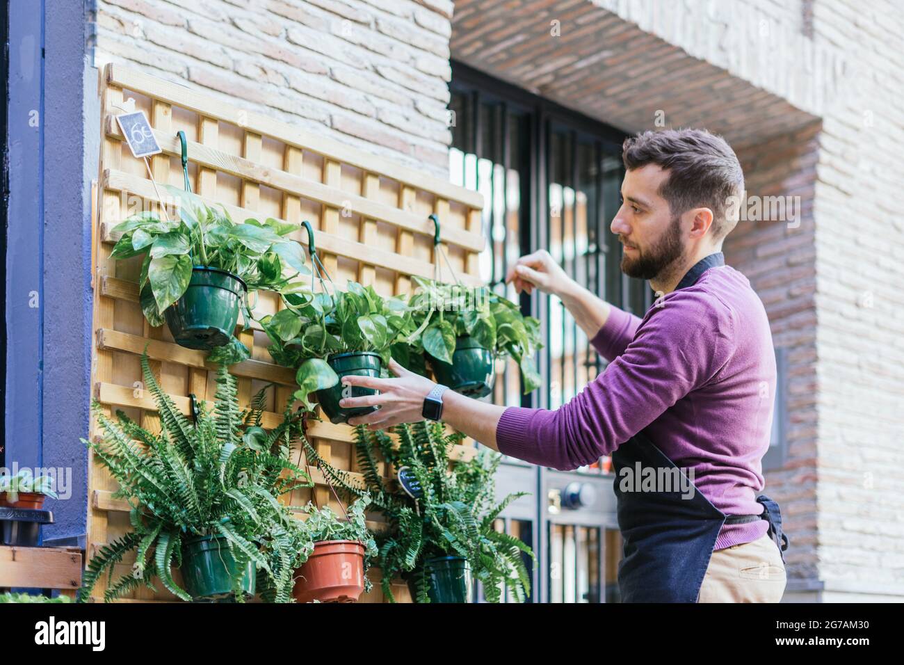 Store clerk placing pots on a shelf Stock Photo - Alamy