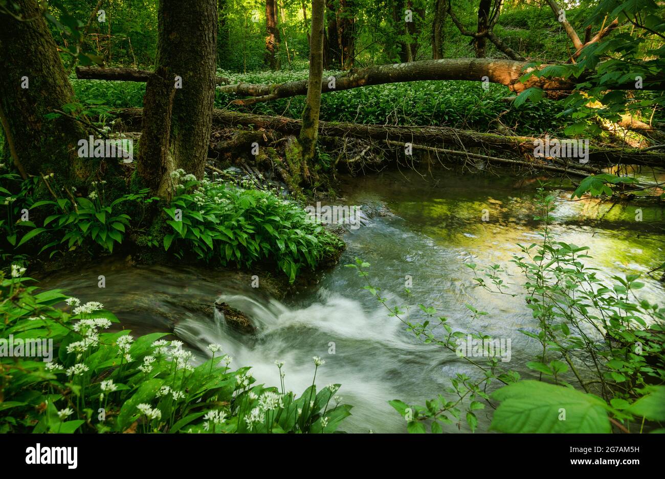 Alluvial soil hi-res stock photography and images - Alamy