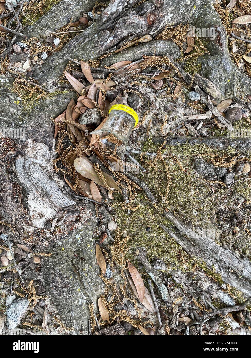 Trash waste litter broken glass jar on the ground in the country Stock ...