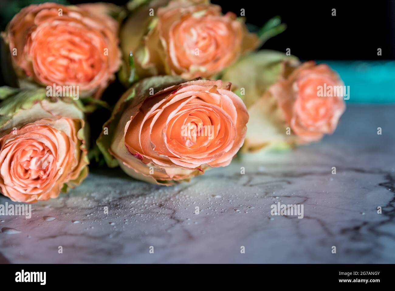 Bouquet of peony roses of juliet. Coral flowers, floral background ...